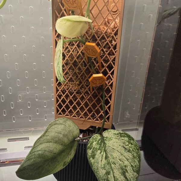 Snake Planter Snake Plant Pot With Drainage Cute Snake Planter Perfect ...