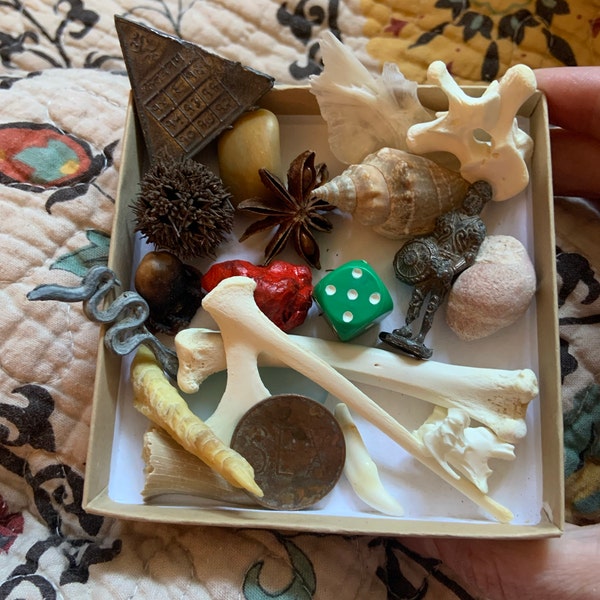 Adorable Miniature Bone Throwing Kit Gift Set - Bone Casting Divination ...