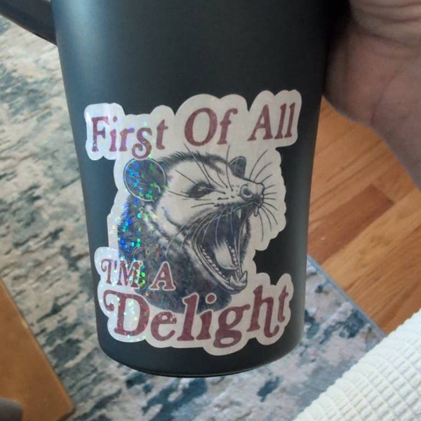 First of All I’m a Delight Possum Silly Holographic Sticker Mental ...