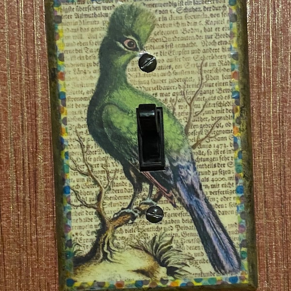 BIRD and EGG Themed Switchplates and MATCHING Screws- Birdcage Switch ...