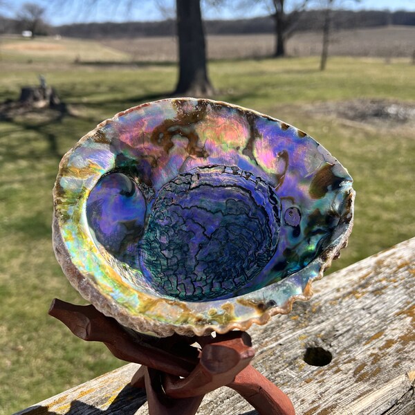 Large Rainbow Abalone Shell Perfect for Smudging Smudge Bowl Large ...