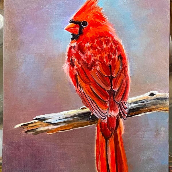 Cardinal Bird ORIGINAL Oil Painting, Northern Cardinal Art, Realistic ...