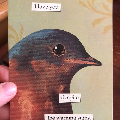 Troubled Bird Postcard Set of 50 Birds Animal Mincing Mockingbird - Etsy