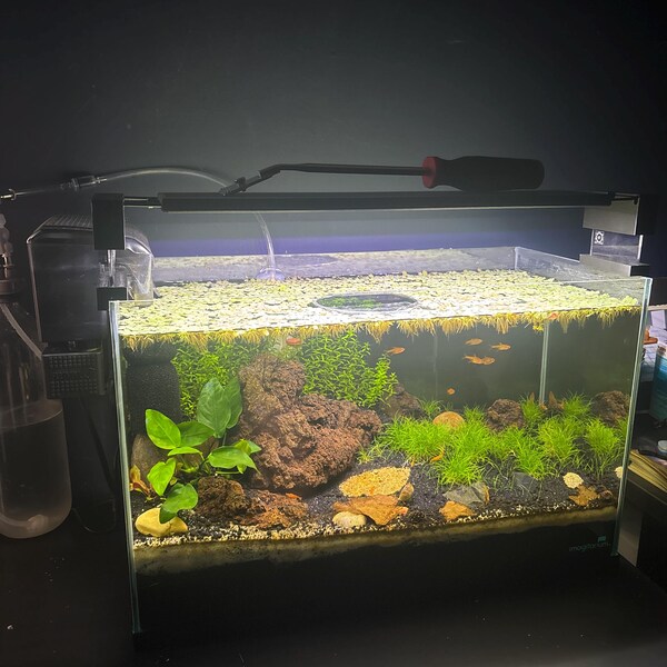 Finnex Stingray Original LED Light Riser, Attractive Stable Elevated ...