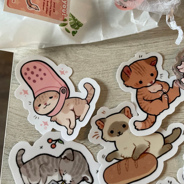 Feline Friends Sticker Set of 4 / Cat Meme Stickers / Kitten Stickers ...