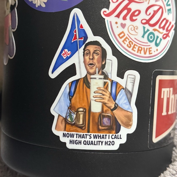 Bobby Boucher H2o Waterboy Vinyl Sticker or Magnet (matte Finish) - Etsy