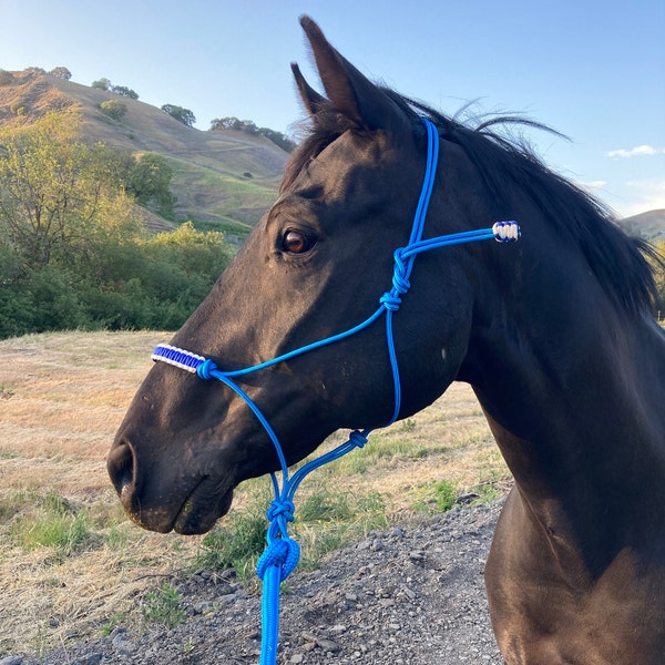 Custom Rope Halter & 12 Foot Attached Lead Rope, Yacht Rope Halter ...