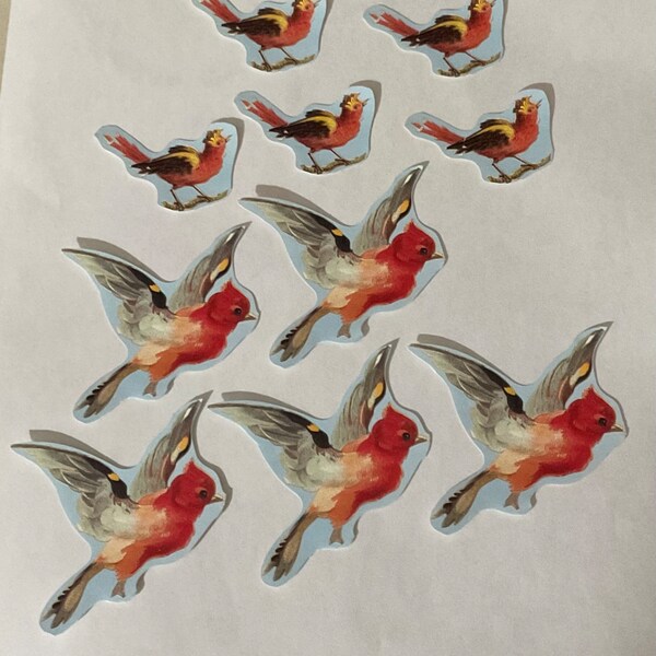 1989 Lesley Anne Ivory POSTCAT Vintage Unused CAT Postcard amon-ra on ...