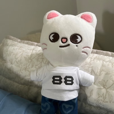 Maxident Stray Kids, OT8 Skzoo Outfits, Case 143 Skzoo Clothes - Etsy