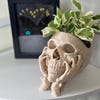 Happy Skull Horror Planter - Unique Plant Pot, Witchy/goth Decor ...