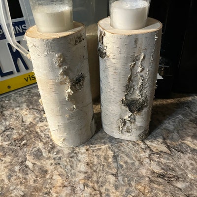 Thick Level White Birch Slabs, Dried Birch Tree Disk, Tree Slices ...