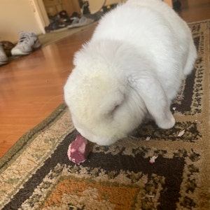 Tiny Flavored Balsa Triangles pkg of 20 Fruit Flavored Chew | Etsy