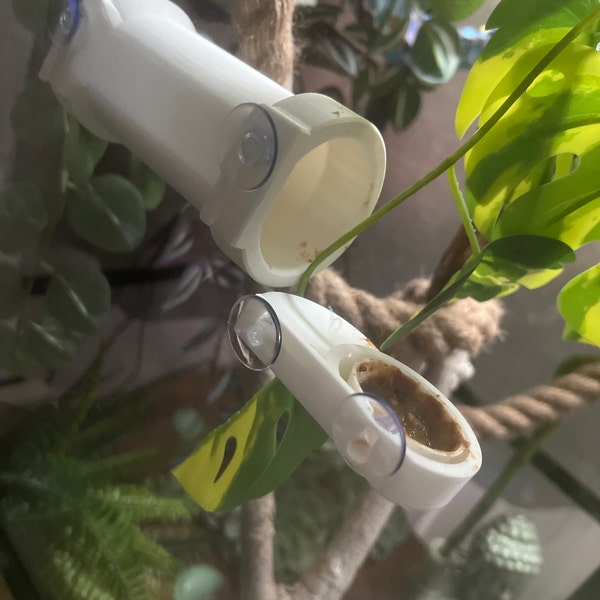 Gecko Food Ledge + Bowls & Spoon Kit | Choice of Colours | 3D Printed ...