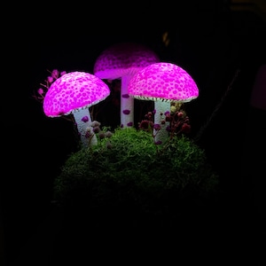 Neon Pink Mushroom Lamp Fairy Night Light Mushrooms Lights - Etsy