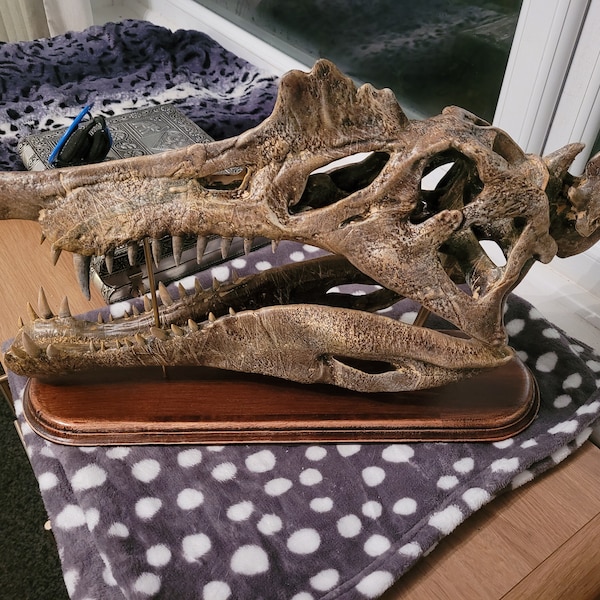 Spinosaurus Dinosaur Skull Replica Made From 3d Scans Of Real Fossils