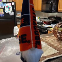 College Team Gnomes - Etsy