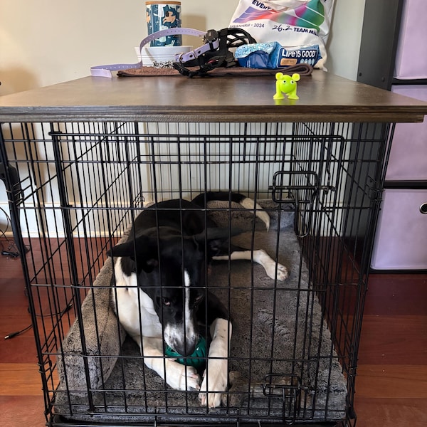 Modern Edge Wood Dog Crate Base, Walnut Stain, Safety Lip Secure Fit ...