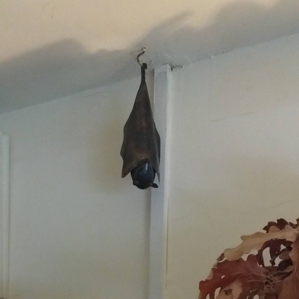 Hanging Metal Closed Wing Bat. Bats. Hanging Garden Outdoor Indoor ...