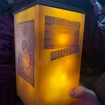 Rosemary Winters Resident Evil Village LED Flask - Etsy
