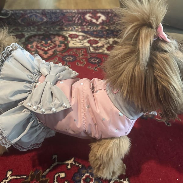 Dog Jumpsuit, Cute Yorkie Girl Outfit, Designer Small Dog Clothes ...