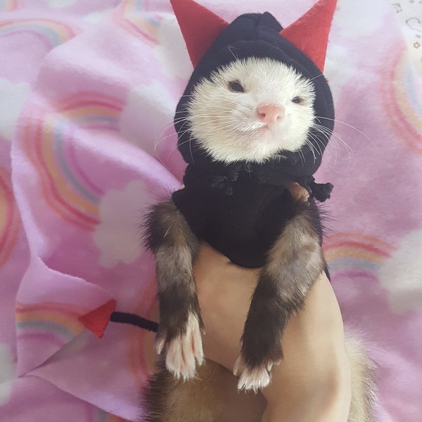 Devil's Amazing Ferret Costume. Ferret Costume, Ferret Clothes, Devil Costume,ferret,funny ...