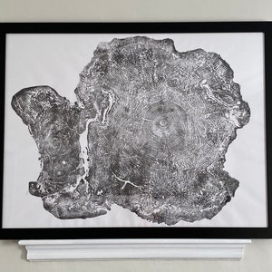 Alaskan Spruce Tree Ring Print Tree Stump Print Stump Art | Etsy