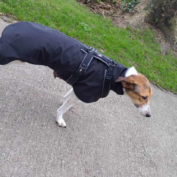 Muzzle for Irish Wolfhound Lightweight Steel Wire Muzzle Coursing ...