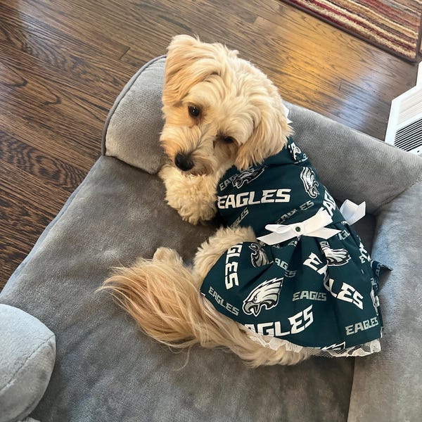 Denver Bronco Dog Vest/harness - Sturdy Print Cotton, Flannel Lining ...