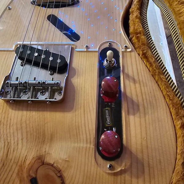 MOP Dolphin in Rosewood Guitar Knob - Etsy