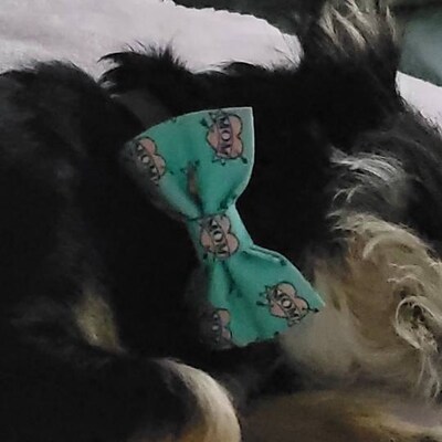 Denim Dog Bow - Etsy