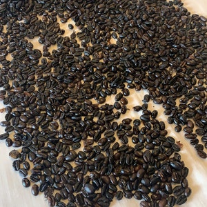 Berbere | Mitten Shiro | Mitmita | Qolo Kolo- 4 Variety Pack Each 8 ...