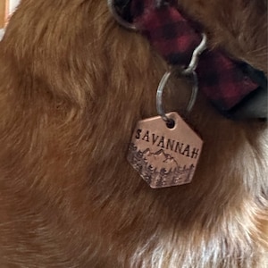 Pet ID Tag, Mountain Trees Dog Tag, Dog Collar Tag, Pet Name Tag, Hand ...
