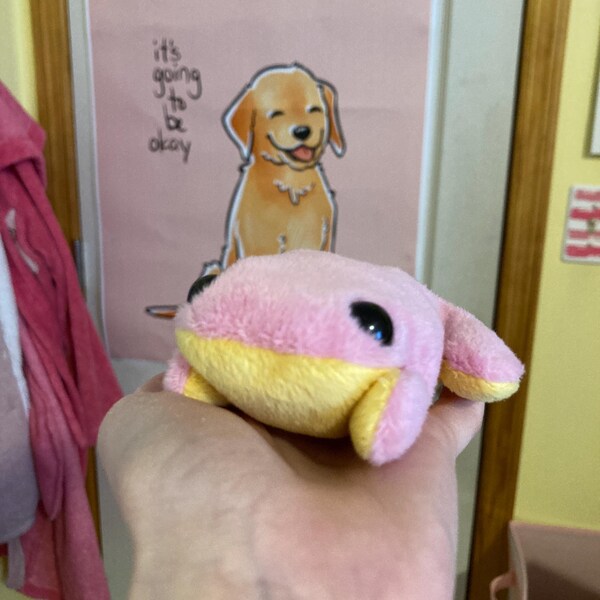 Choose Your Color Combo Frog Plush// Pocket Frog Plushie// Bean Bag ...