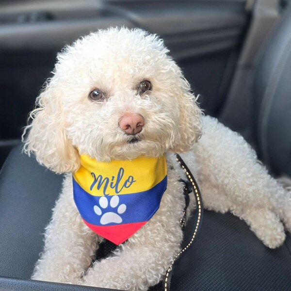 Swedish Flag Dog Bandana Over the Collar, Flag of Sweden SVG, Flag of ...