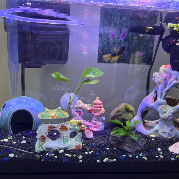 Small Fish Hide MADE TO ORDER - Betta Fish Cave - Small Aquarium Decor ...