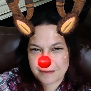 Satanic Coat of Arms Heraldry Print 11x17 | Etsy