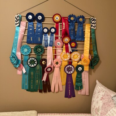 4-H FFA Ribbon Holder Display Award Rack Dog Show Ribbon - Etsy