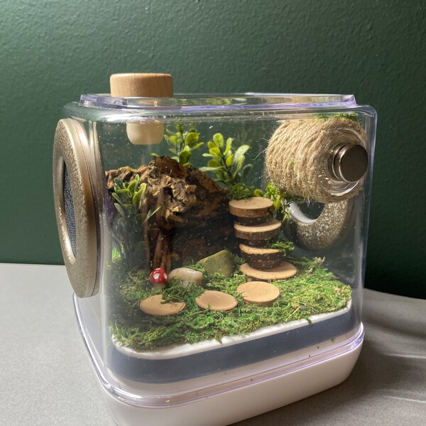 Jumping Spider Enclosure, 5x5x5 Spider House, Spider Tank, Spider ...