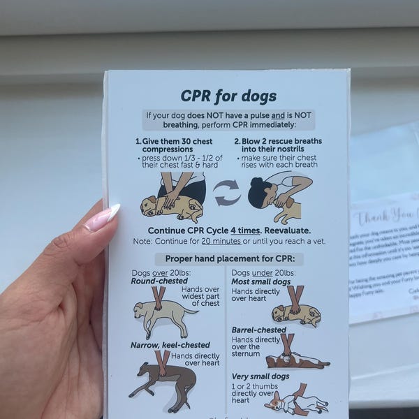 Dog Choking First Aid Magnet: Safety Maneuvers & Demo - Etsy