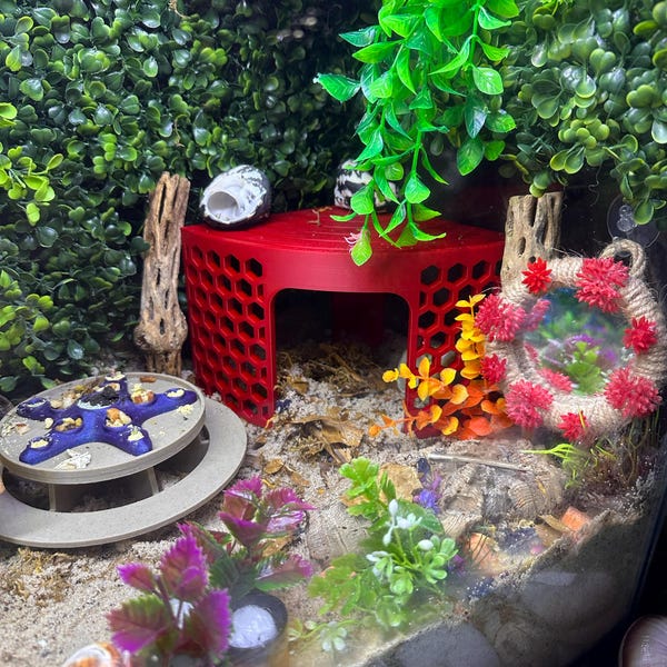 Aquarium Corner Cave Underground Viewing Hide Kuhli Loach Dojo Loach ...