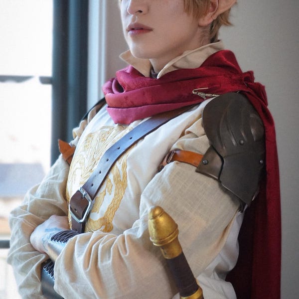 Hand Forged SCA Lion Head Shoulder Spaulder Pauldron Roman Gladiator ...