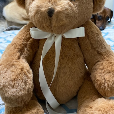 Custom Bear With Voice Recorder, Voice Recording Gift, Voice Recording ...