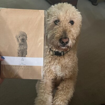 20 for Richer or for Poorer Lottery Ticket Favor Bag Personalized ...