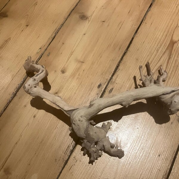 Hamster Vine Branch/ Natural Hamster Enclosure Item - Etsy UK