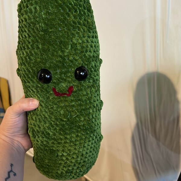 Crochet Pickle Pattern, Crochet Cushion Pattern, Pillow Crochet Pattern ...
