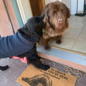 The German Shepherds Door Mat, We Know You ARE Here Dogs Door Mats ...