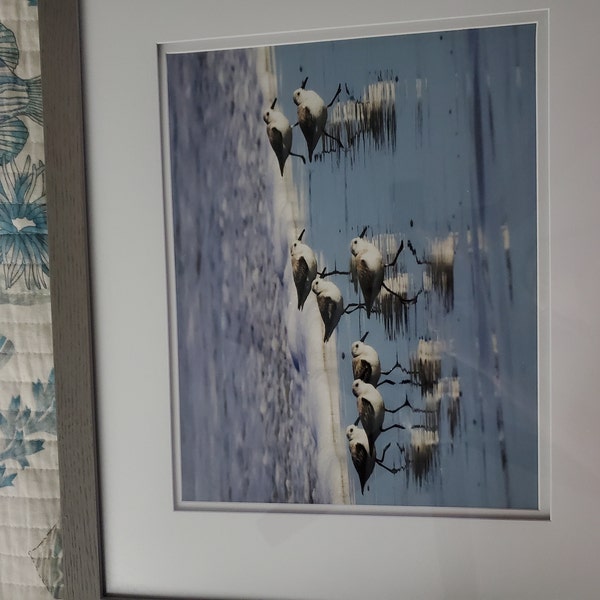Flagler Beach Municipal Pier, Flagler Beach, Sunny Florida Day, Beach ...