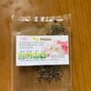 Godetia Monarch Mixed - 2000 Seeds - CLARKIA AMOENA - Godetia ...