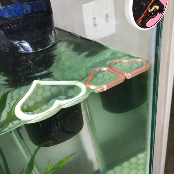 3 Pack Floating Fish Feeder, Food Separator, Custom Designs, Plant Ring ...