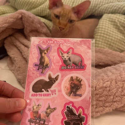 Curse of Toe Beans Sphynx Weatherproof Sticker - Etsy